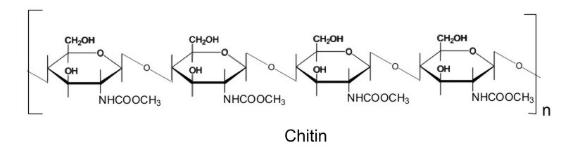 DUOC LIEU HOC - CARBOHYDRAT